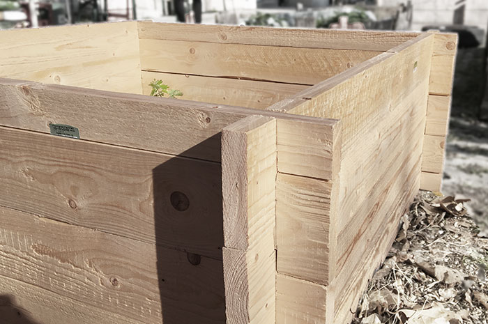 Plant plot – Biophilic Design