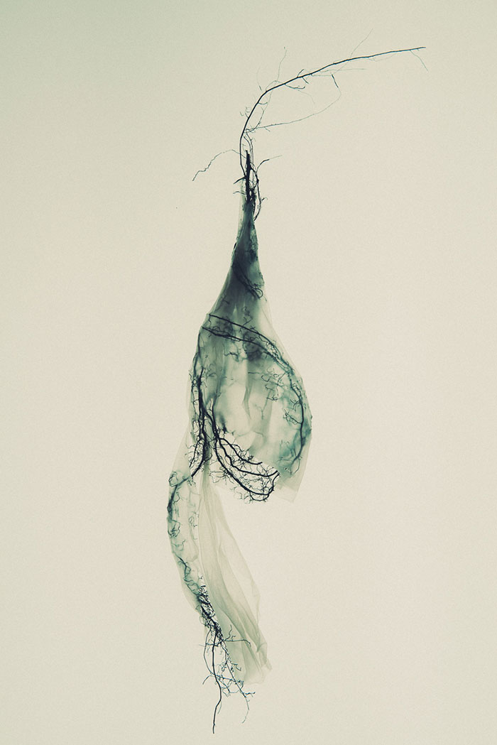 Ephemeral Sculptures – Biophilic Design