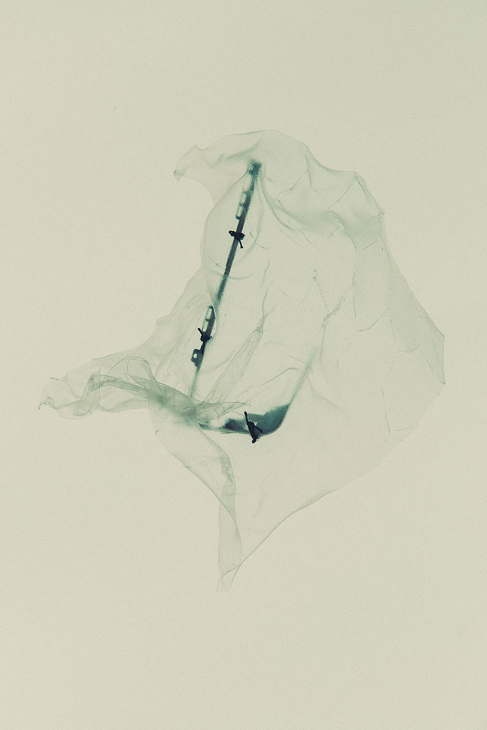 Ephemeral Sculptures – Biophilic Design