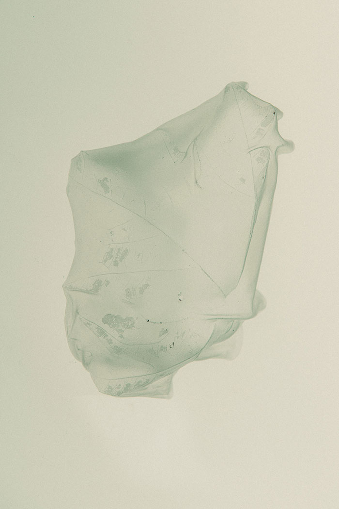 Ephemeral Sculptures – Biophilic Design