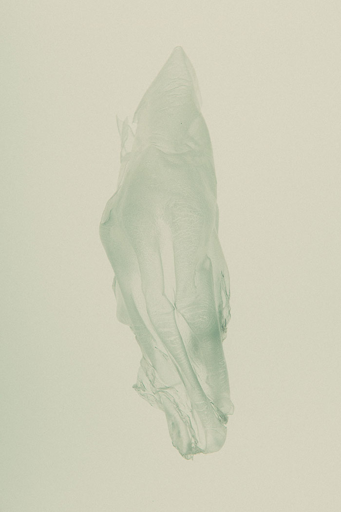 Ephemeral Sculptures – Biophilic Design